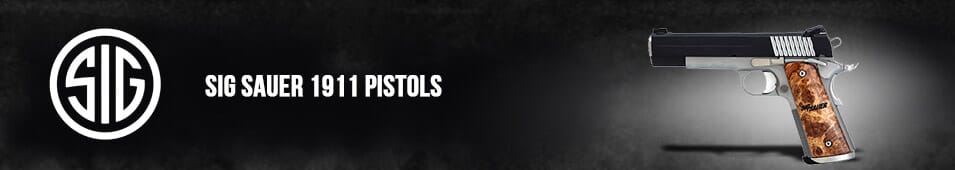 Sig Sauer 1911 For Sale - Buy Now! - Scopelist.com